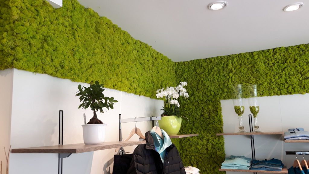 Moss Walls - Creative and individual wall design with preserved natural ...